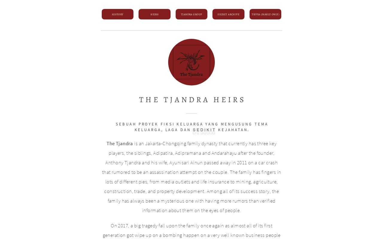 The Tjandra Group